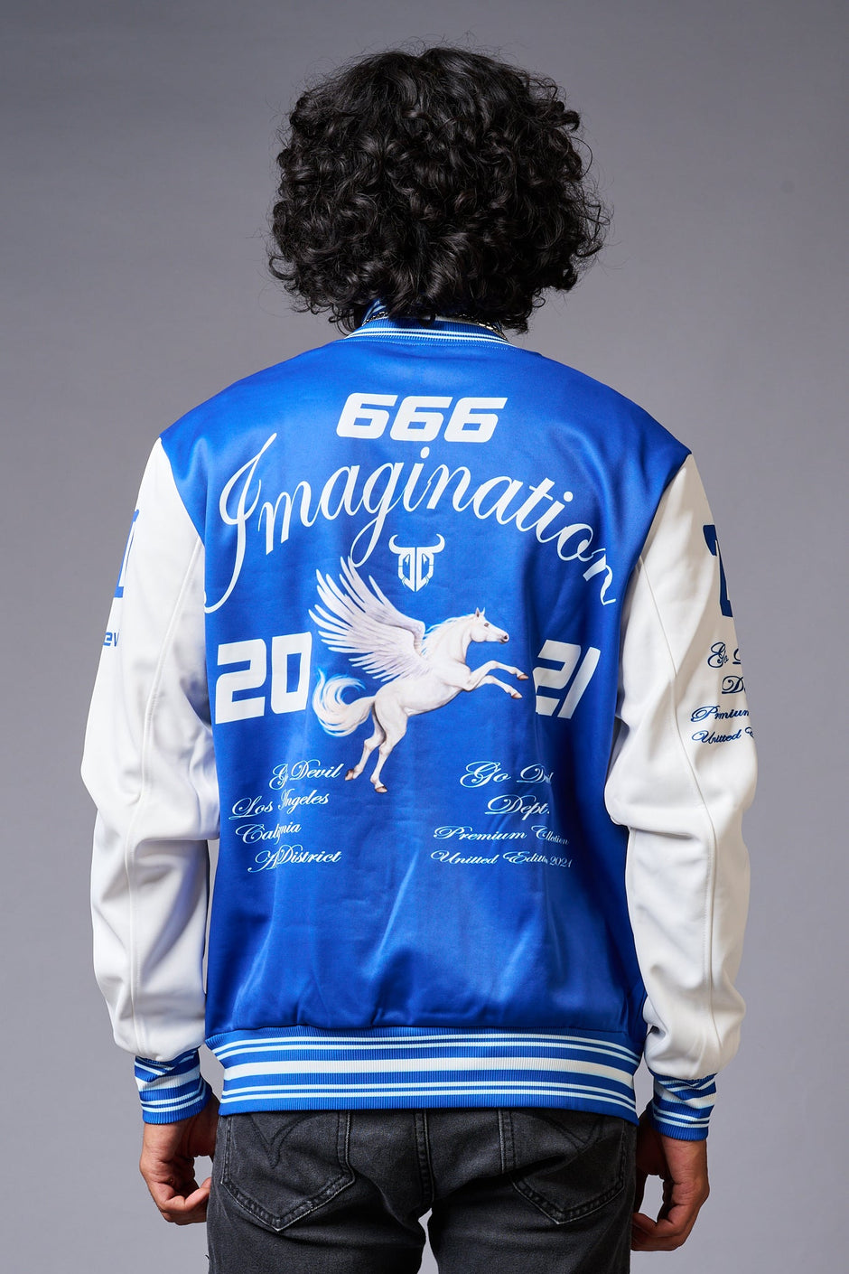 Shop Trendsetting Varsity Jacket. Premium Collection – Go Devil